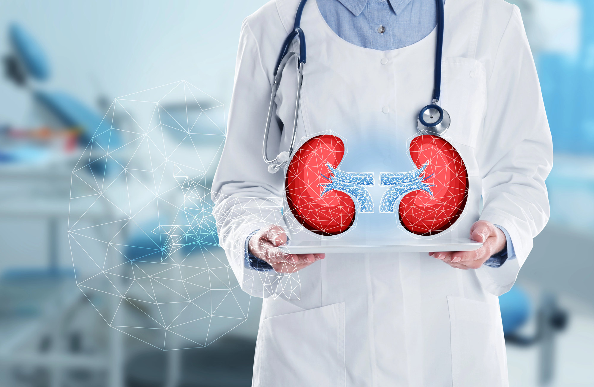 Are Your Kidneys OK? Early Detection Safeguards Health - Buffalo ...